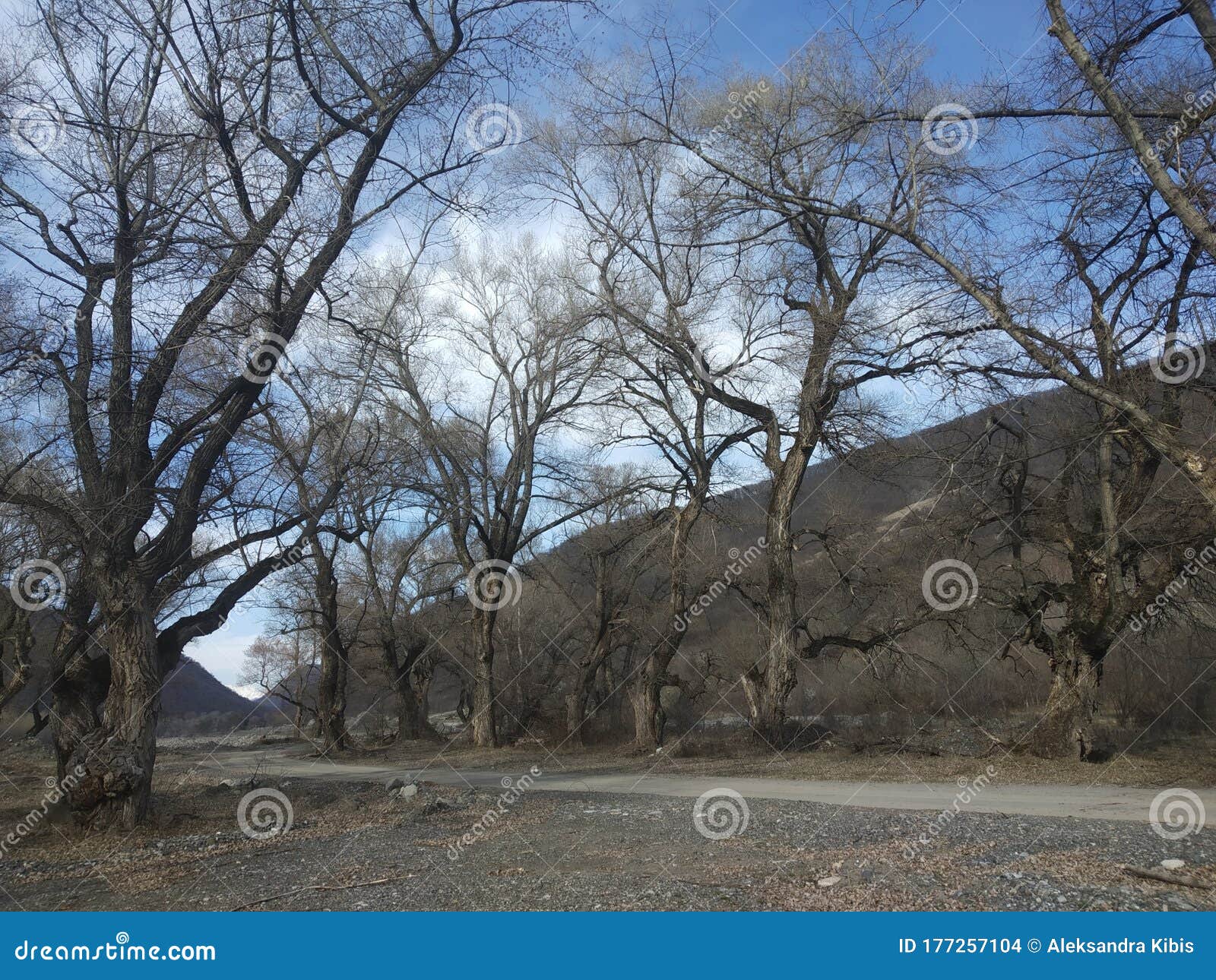 Spring Trees between the Hills Stock Photo - Image of landscape, valley ...