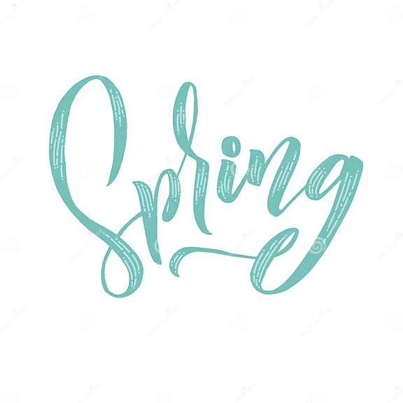 Spring. Trendy Script Lettering Design Spring. - Vector Illustration ...