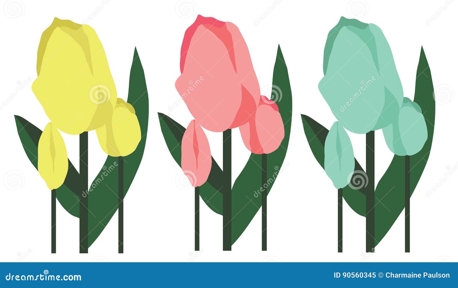 Spring Tulips stock illustration. Illustration of flowers - 90560345