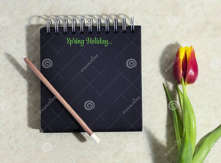 Spring Tulips with a Notebook Stock Photo - Image of copy, happiness ...