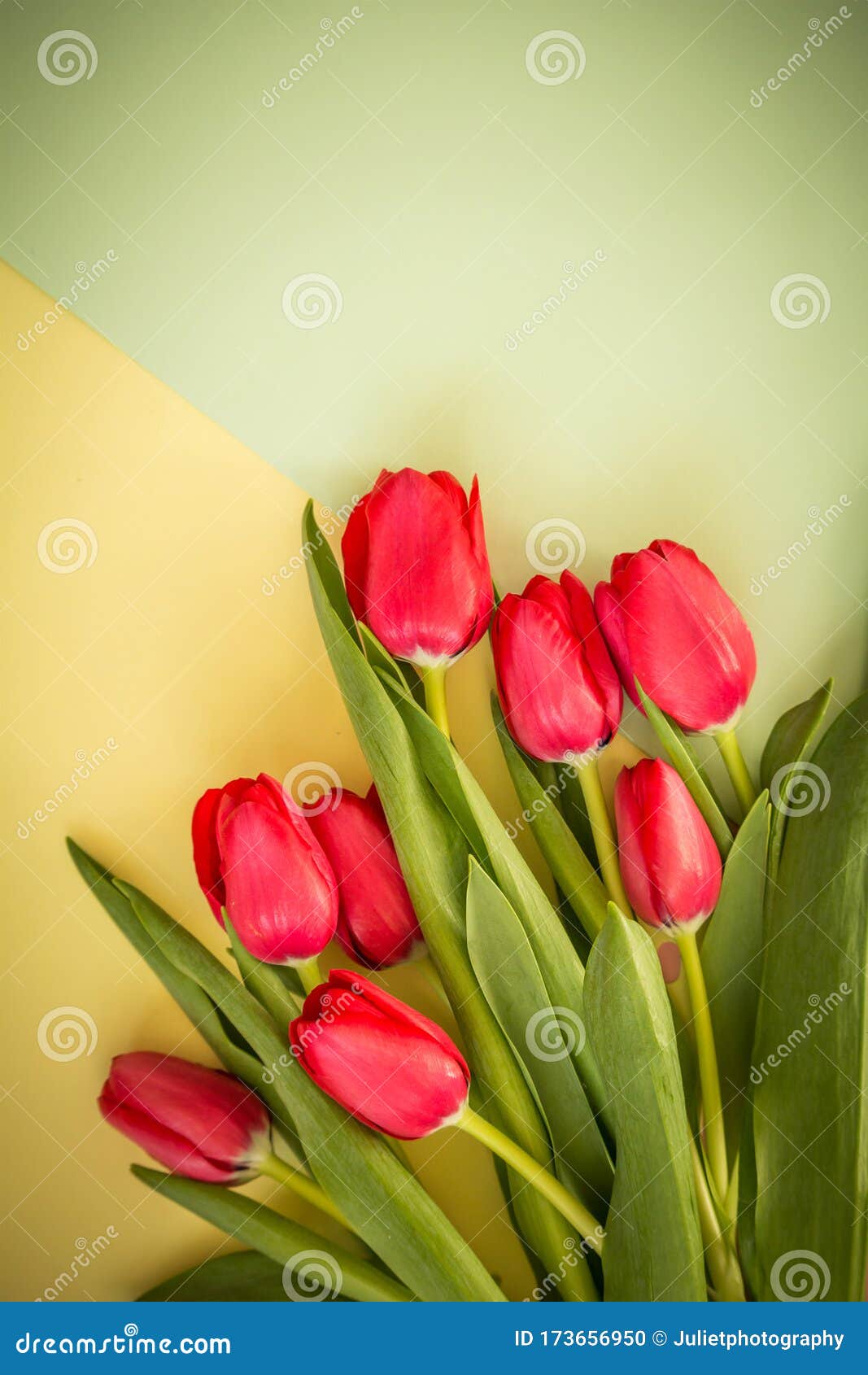 Spring Tulips on Paper Background Stock Photo - Image of celebration ...