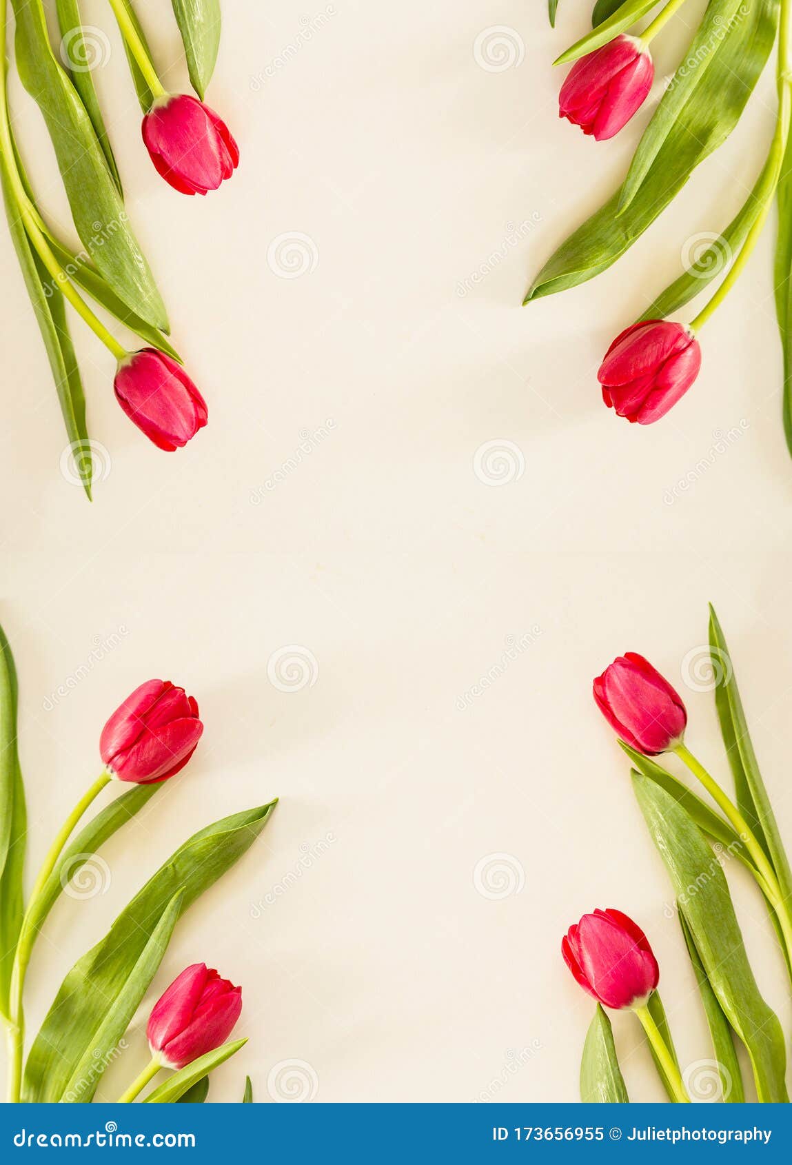 Spring Tulips on Paper Background Stock Image - Image of close, love ...
