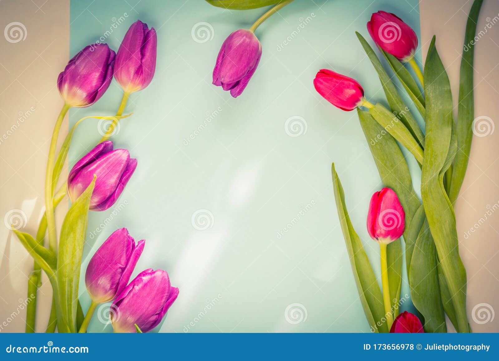 Spring Tulips on Paper Background Stock Photo - Image of green ...