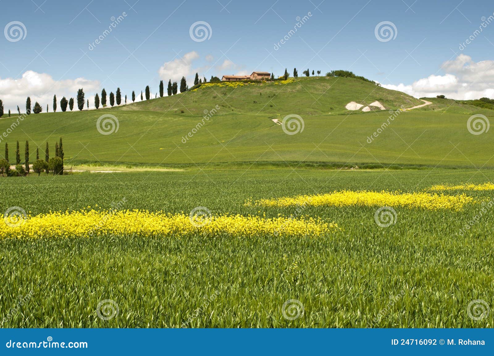 Spring in Tuscany stock photo. Image of outdoor, tuscany - 24716092