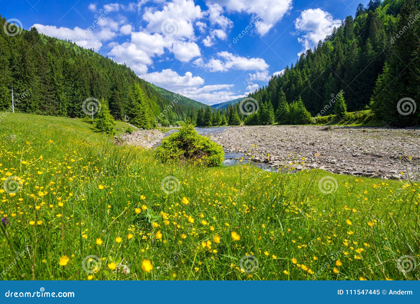 Spring in Ukraine in the Mountains Stock Image - Image of clouds ...
