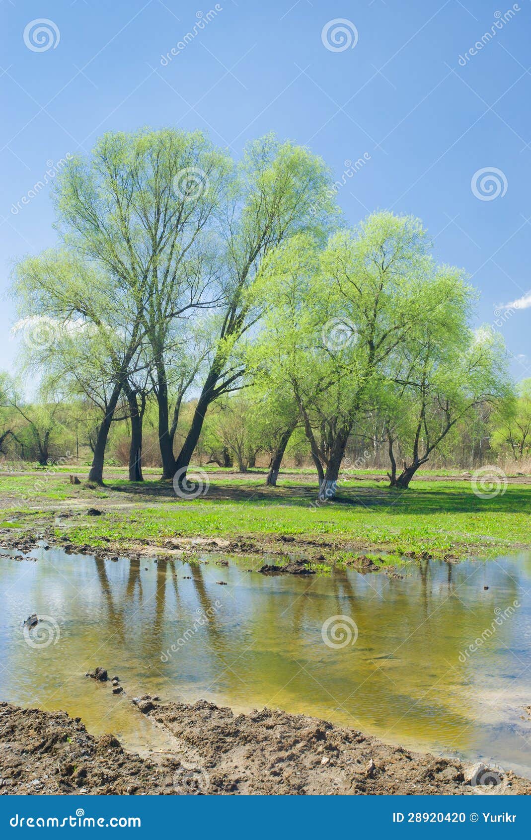 Spring in Ukrainian Rural Area Stock Photo - Image of nature, light ...