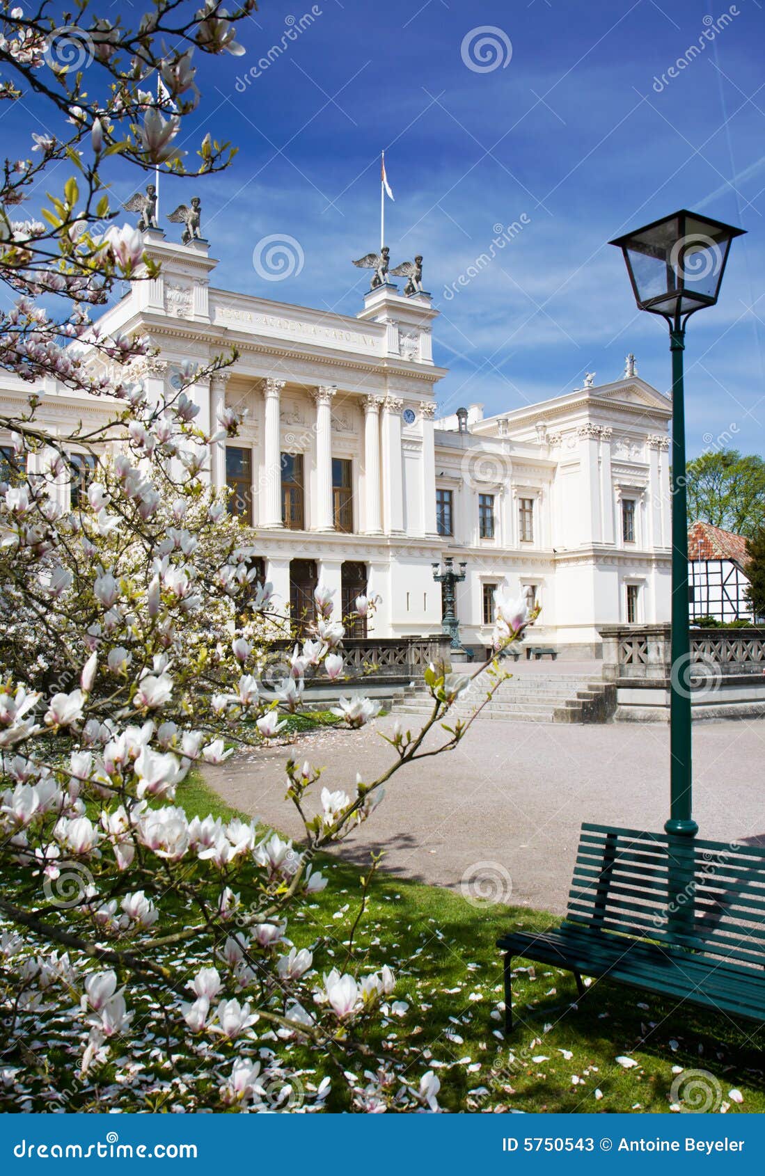Spring university stock image. Image of academic, notable - 5750543
