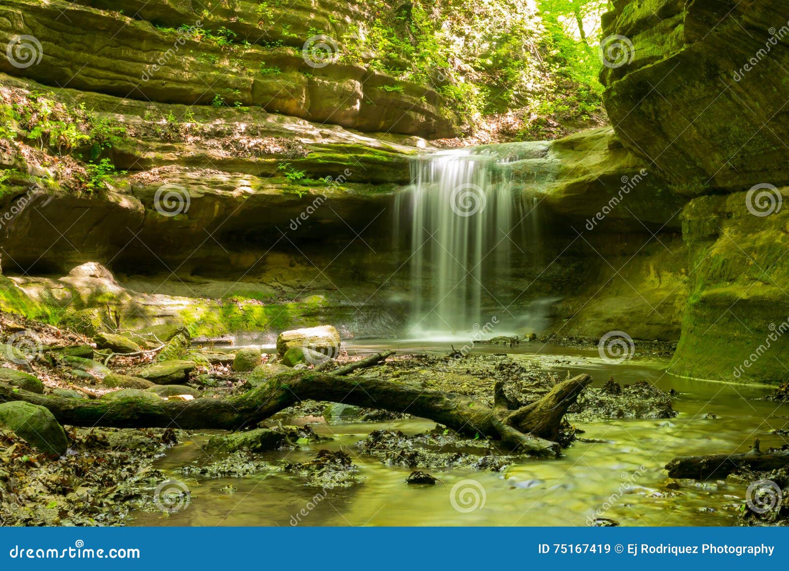Spring in the Upper Dells. stock image. Image of environment - 75167419