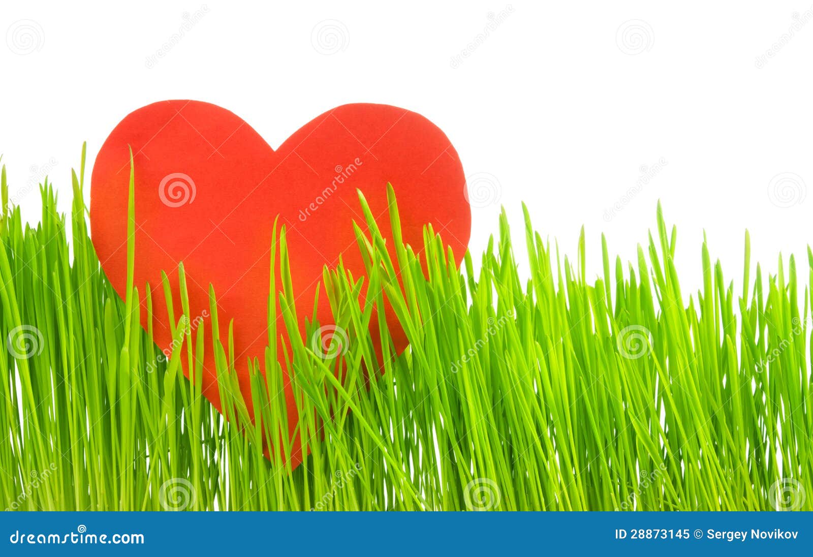 Spring and Valentine Spirit Stock Image - Image of spring, season: 28873145