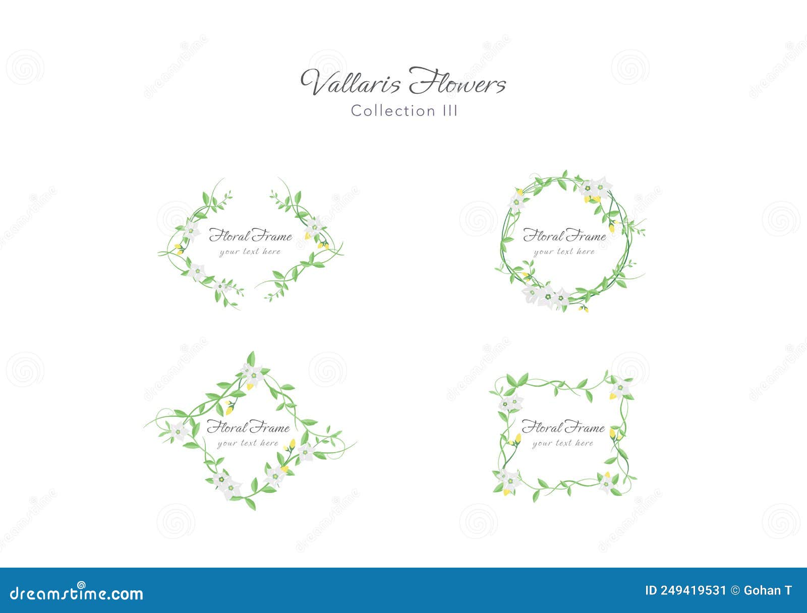 Spring Vallaris Bread Flower Floral Frame Vector Ep05 Stock ...