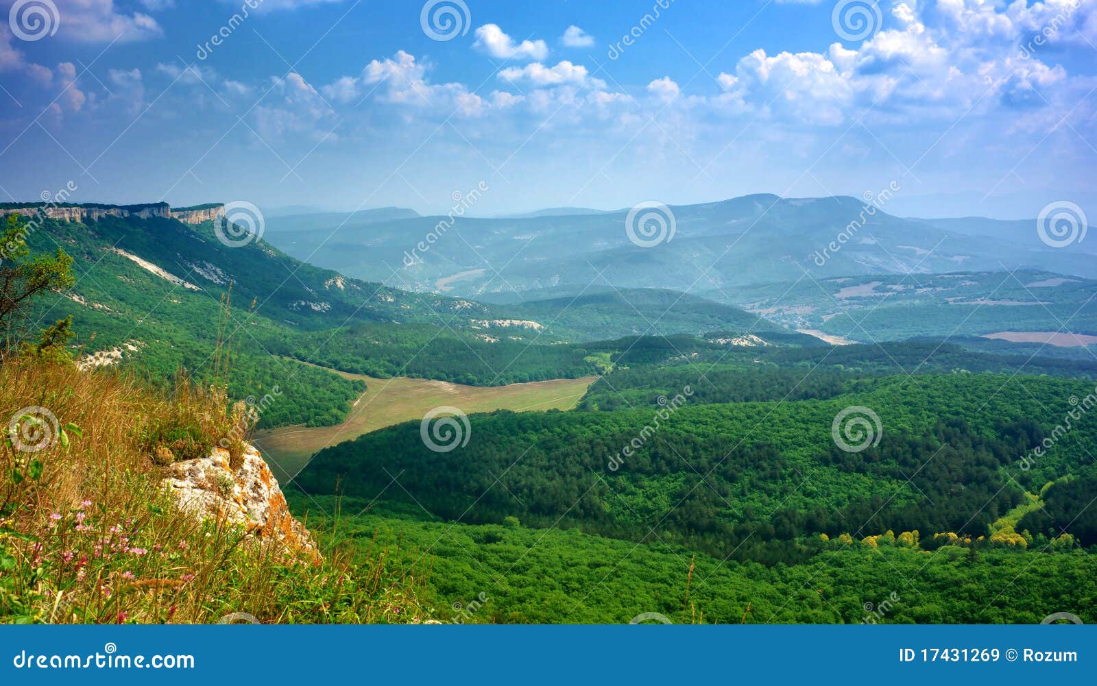 Spring valley stock image. Image of colorful, meadow - 17431269