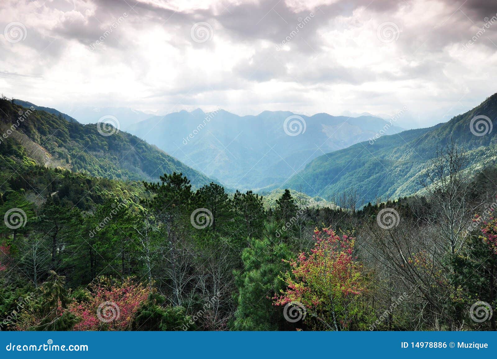 Spring in the vally stock photo. Image of serene, environment - 14978886