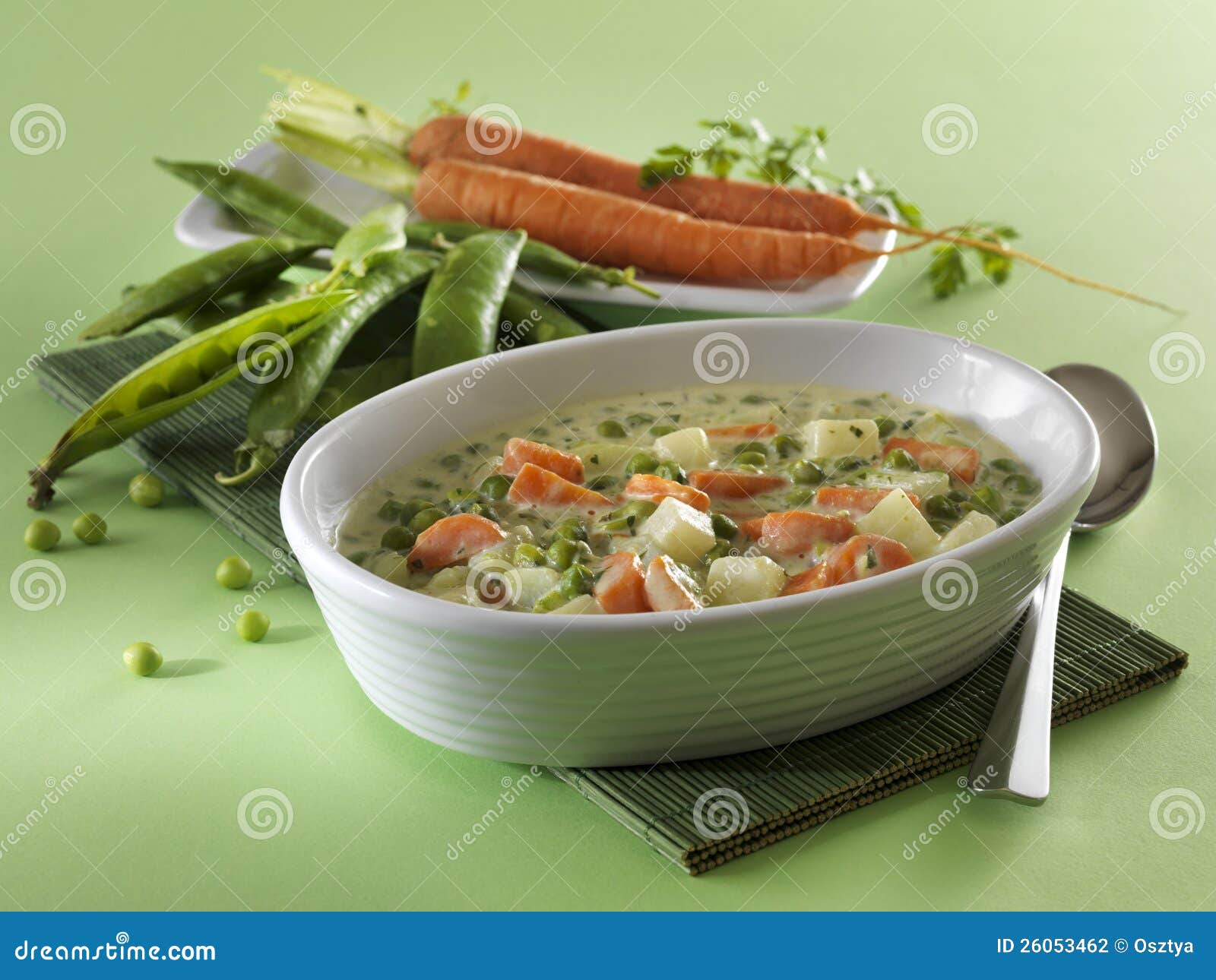 Spring vegetable dish stock photo. Image of sauce, porcelain - 26053462
