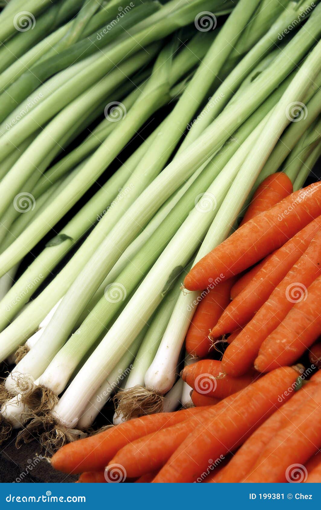 Spring Vegetables stock image. Image of eating, vegetables - 199381