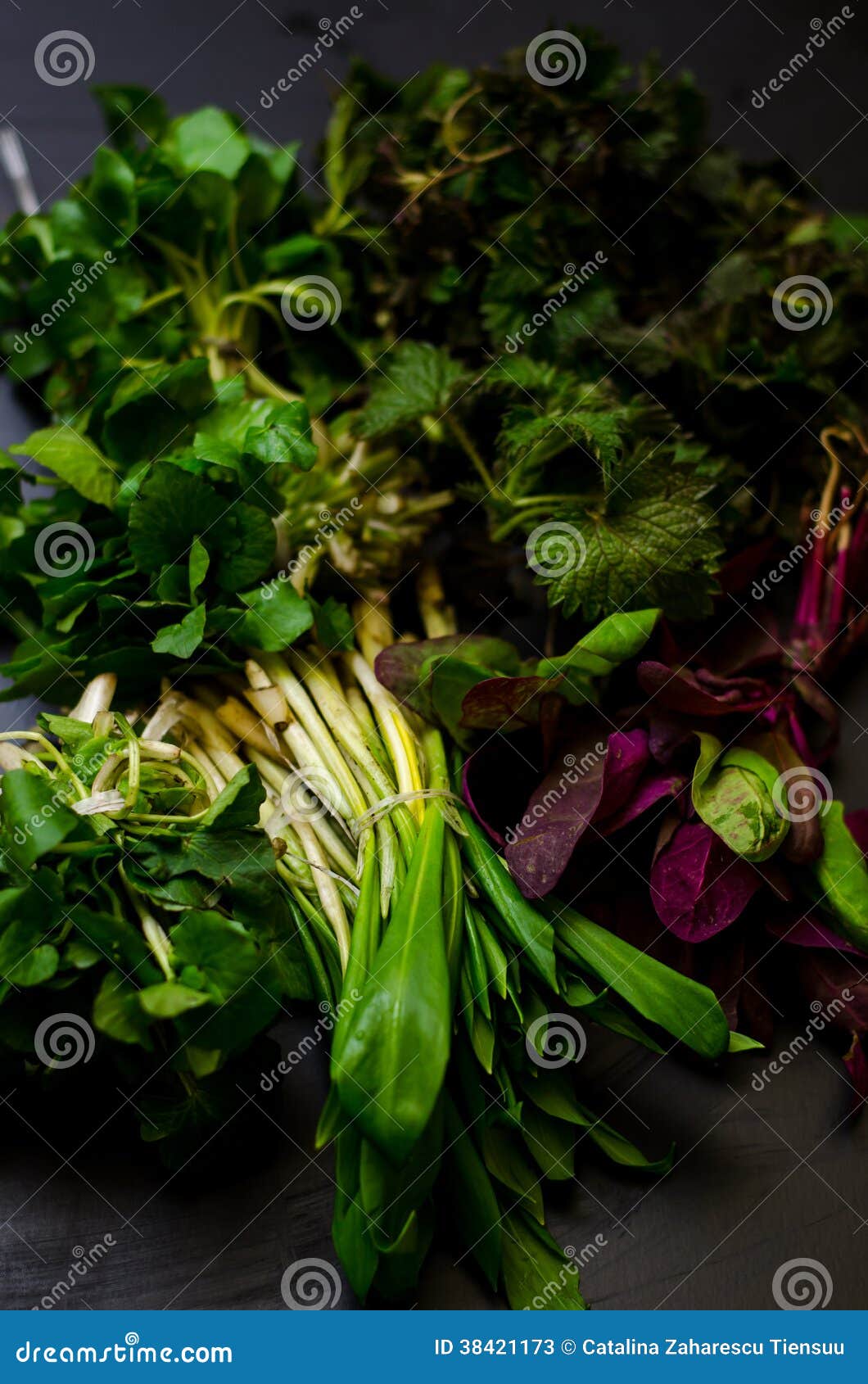 Spring vegetables stock image. Image of garlic, herb - 38421173