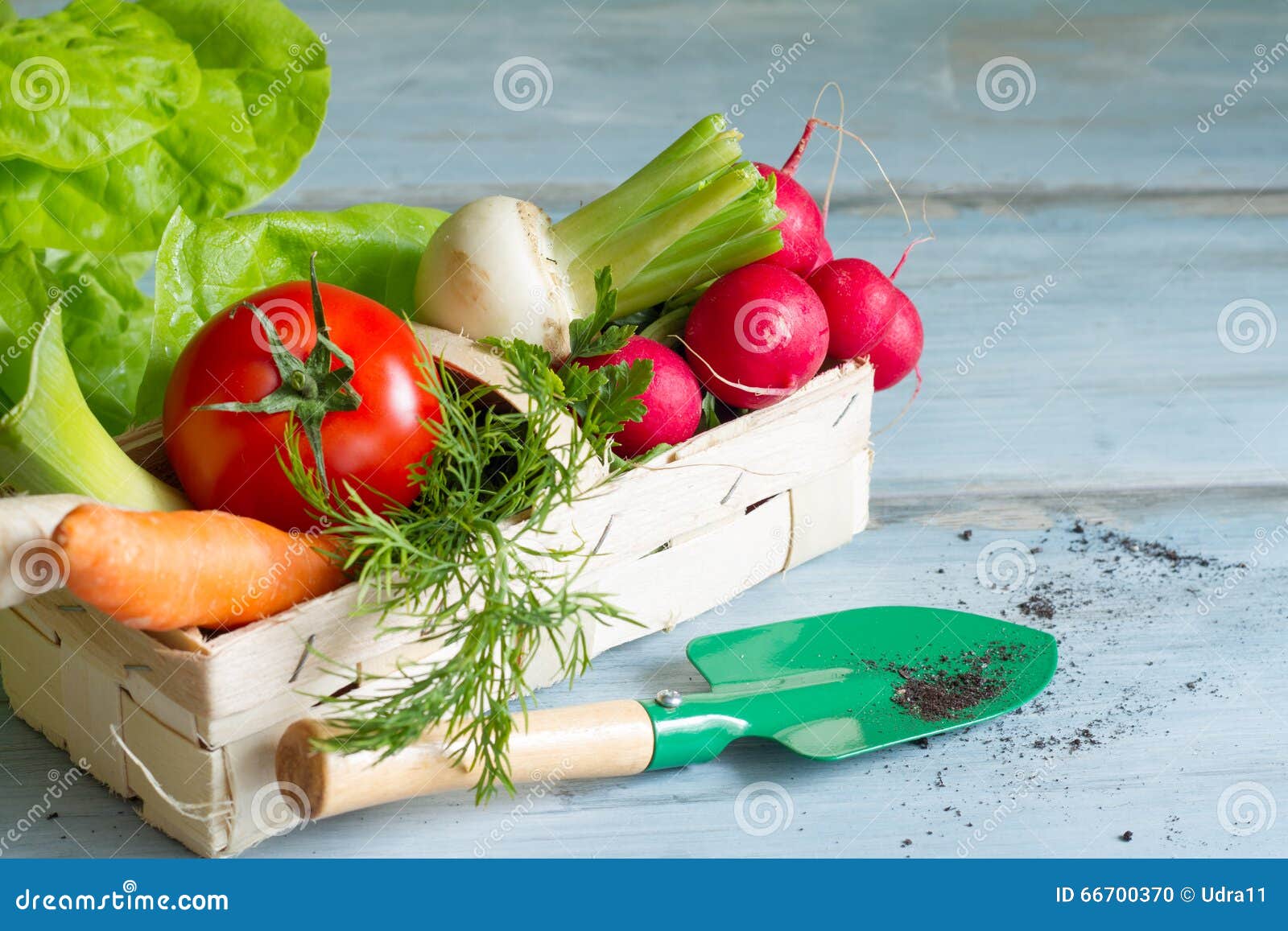 Spring Vegetables and Gardening Tools Stock Photo - Image of house ...