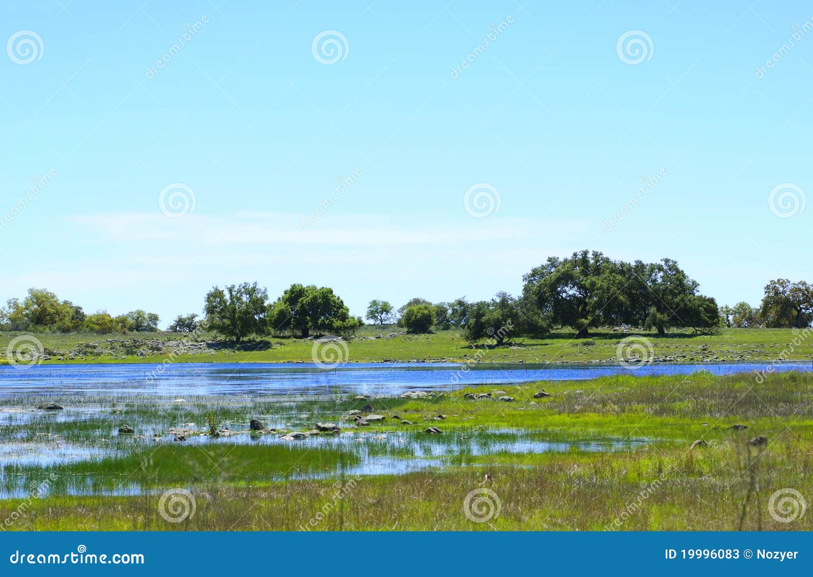 Spring Vernal Pool in Santa Rosa Plateau Stock Image - Image of ...