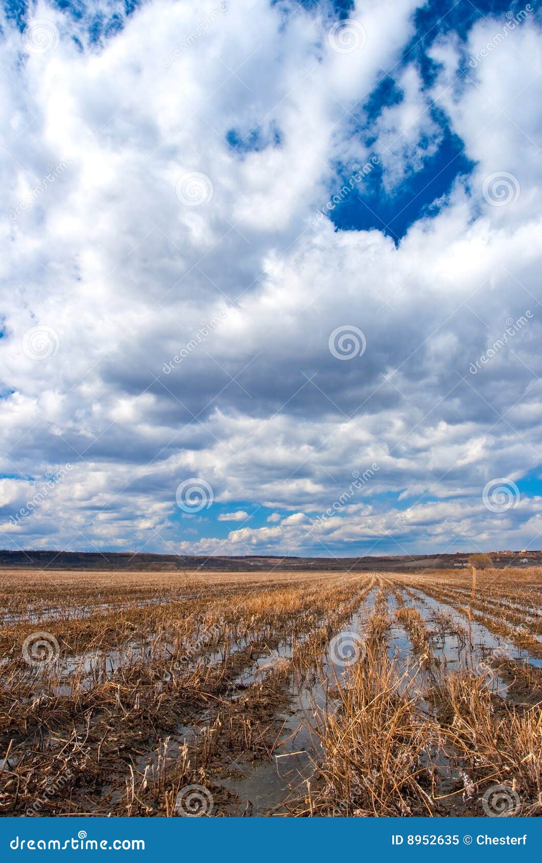 Spring vertical landscape stock image. Image of grass - 8952635