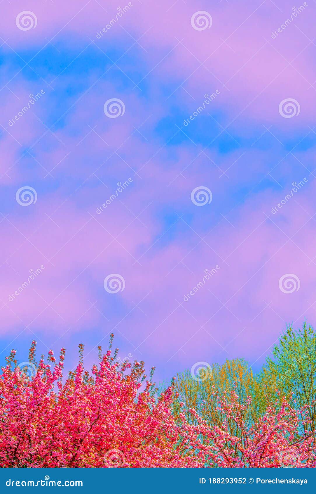 Fashion Aesthetics Wallpaper Pink Flowers Cherry Blossom Tree Stock