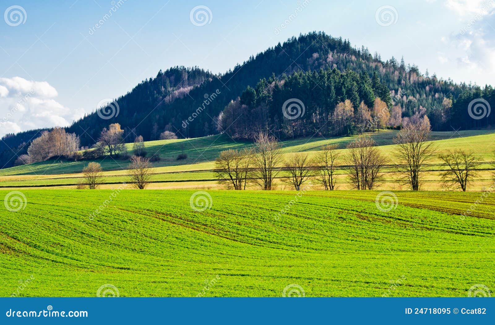 Spring view stock image. Image of clear, landscape, blue - 24718095