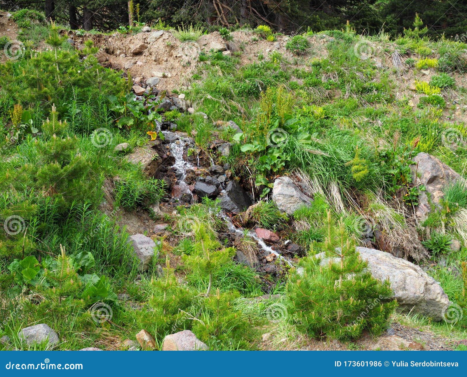 Spring View of Beautiful Small Waterfalls Mountains Stock Photo - Image ...