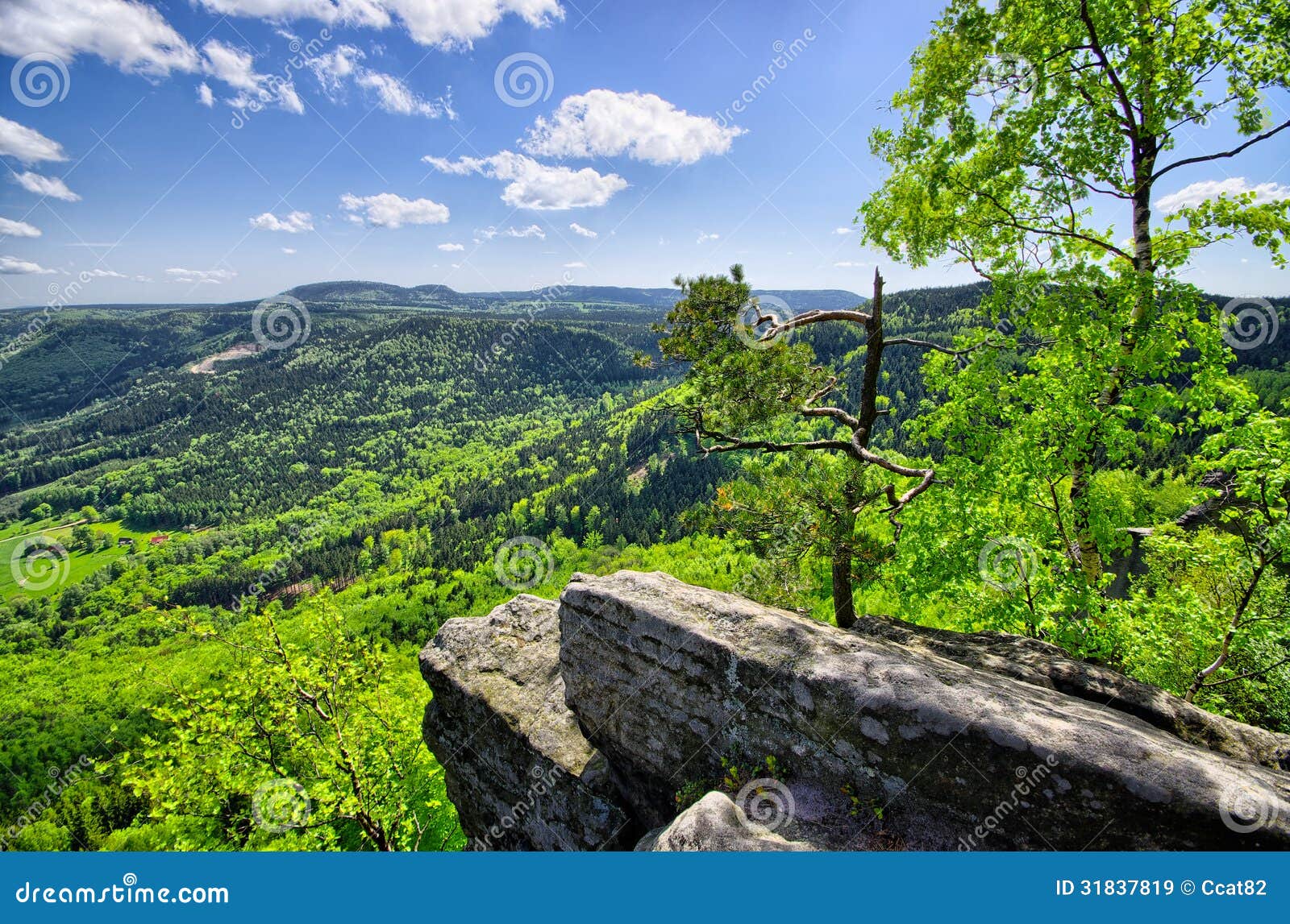 Spring View on the Forest and Fields Stock Image - Image of color ...