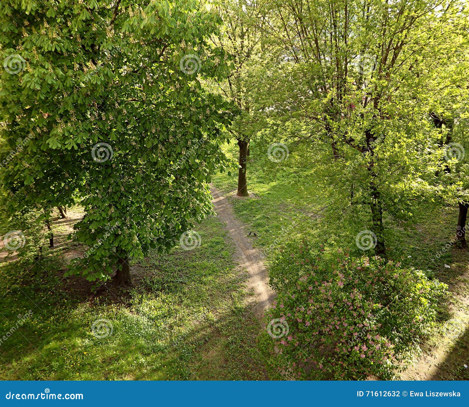 Spring view stock photo. Image of beautifully, summer - 71612632
