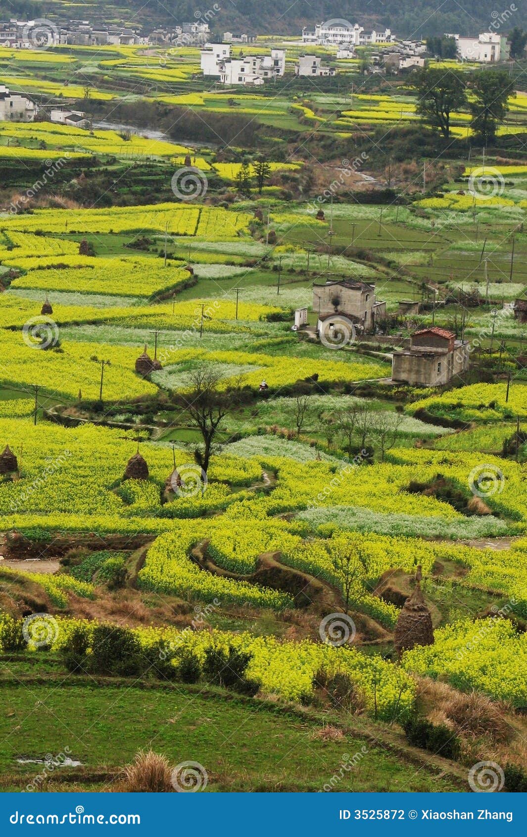 Spring in village stock photo. Image of countryside, endless - 3525872