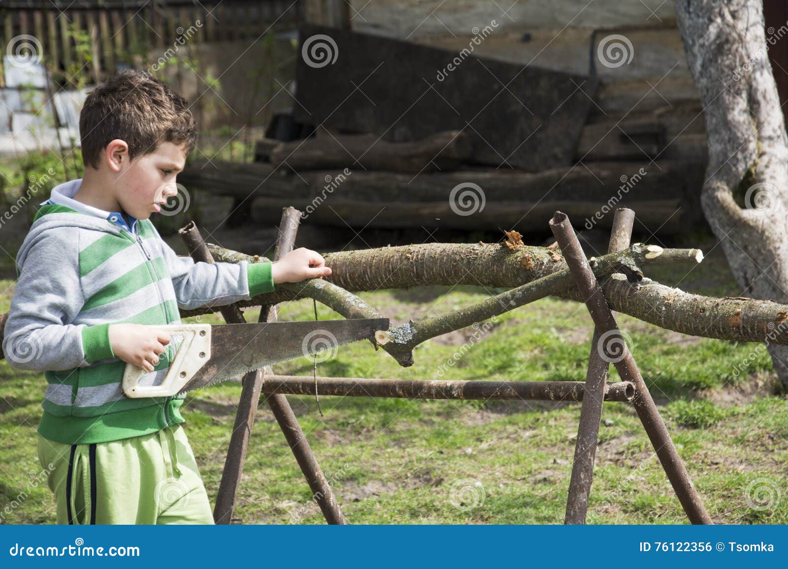 Spring in the Village Boy Sawing Trees. Stock Photo - Image of handsaw ...