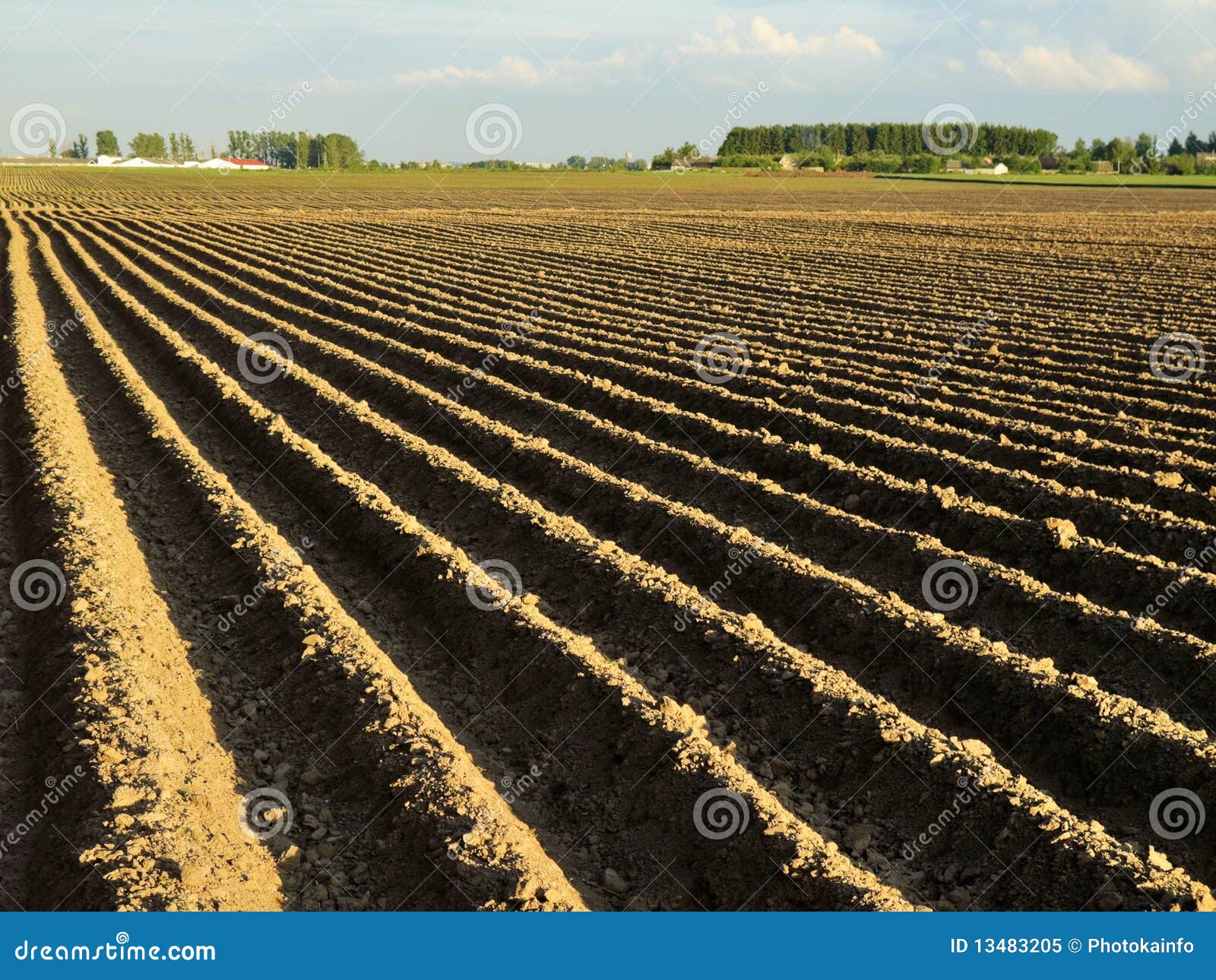 Spring village field stock image. Image of season, harrow - 13483205