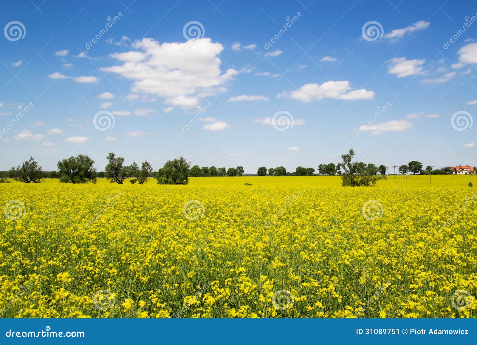 Spring village landscape stock image. Image of light - 31089751