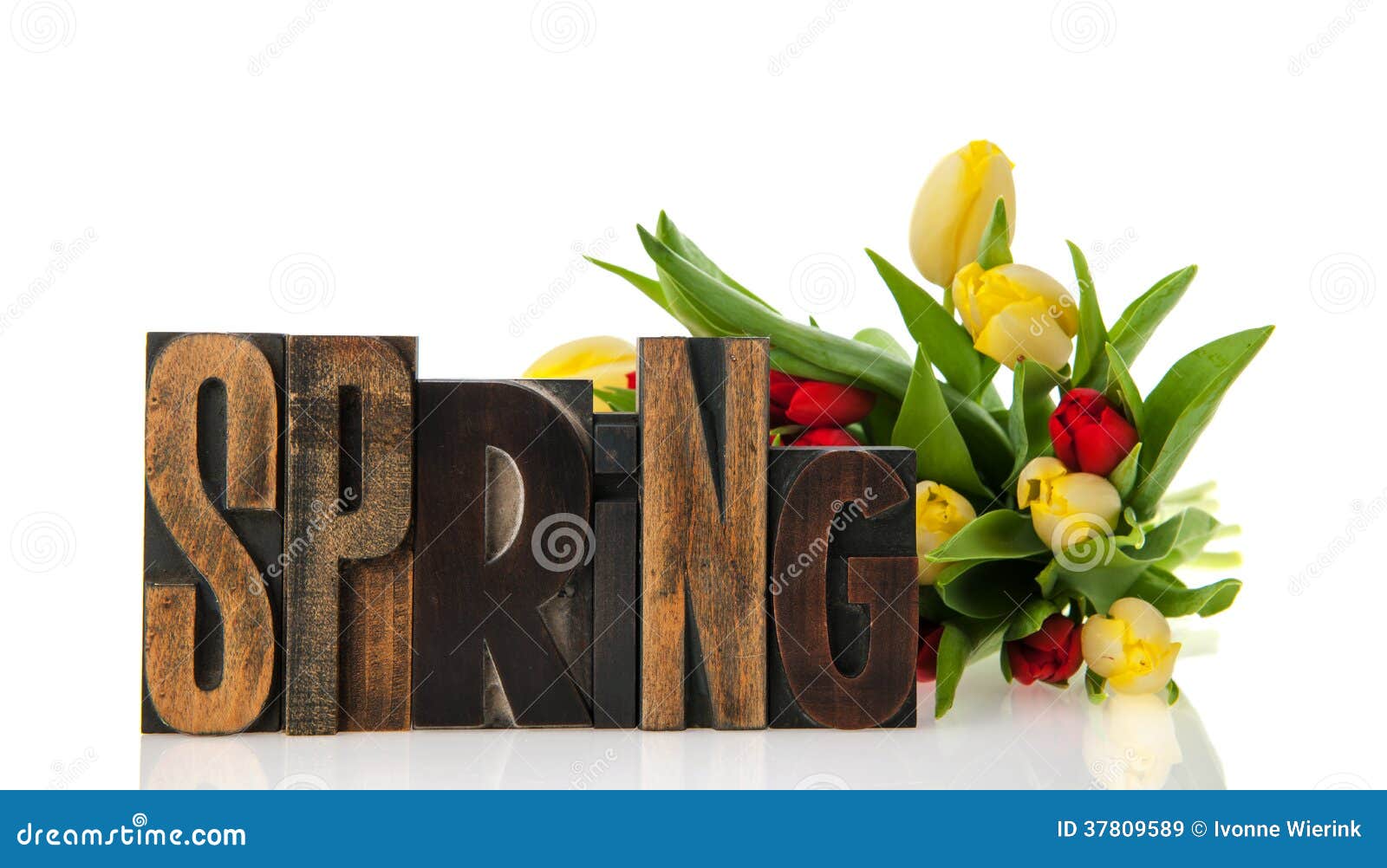Spring stock image. Image of mixed, antique, spring, tulips - 37809589