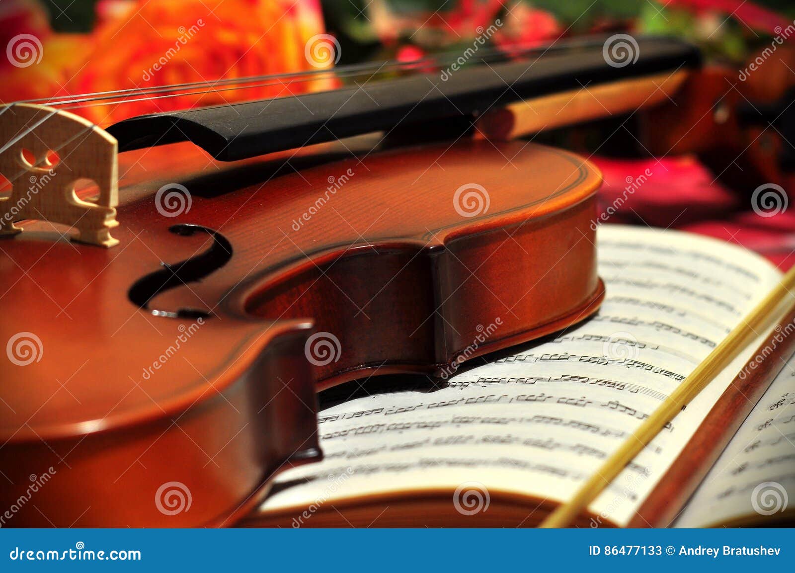 Spring Violin Stock Images - Download 446 Photos