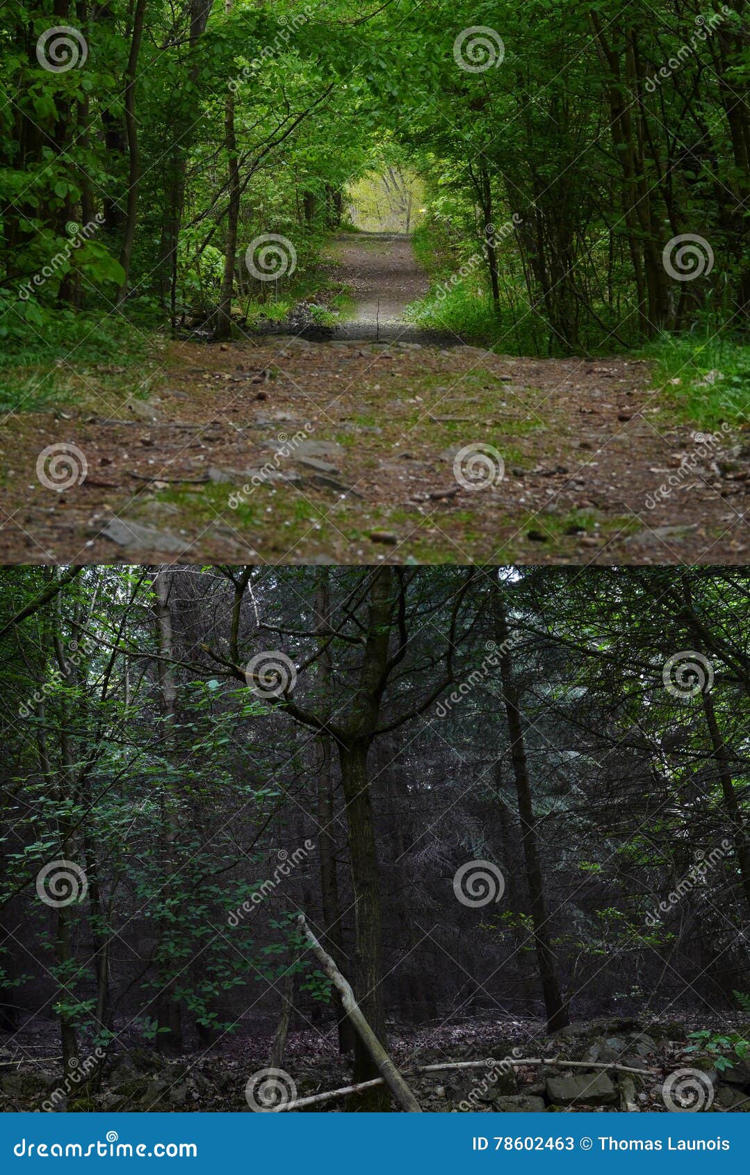 Spring vs winter stock image. Image of contrast, climate - 78602463
