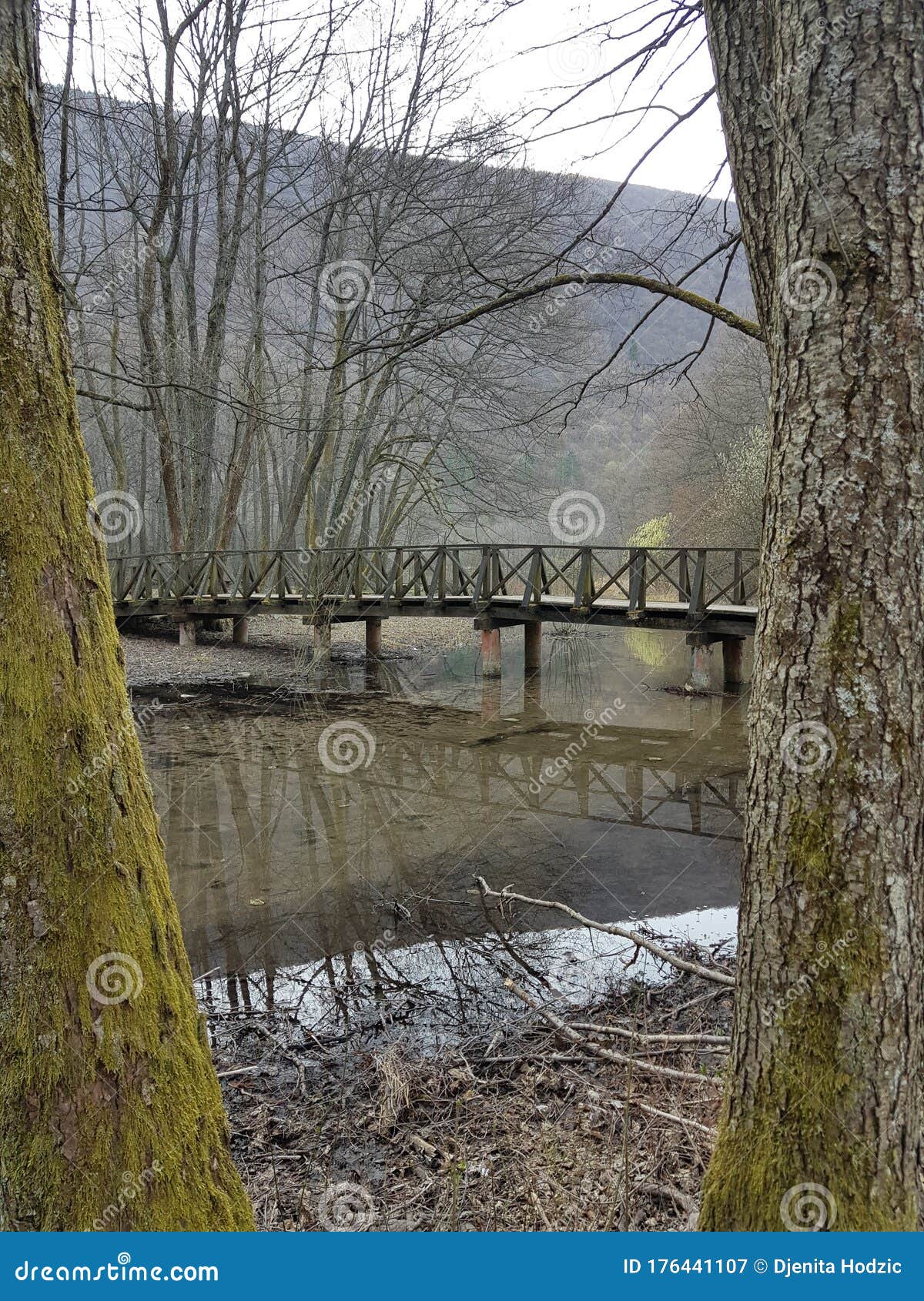 Spring is Waking Up at Bosna River Valley Stock Image - Image of valley ...
