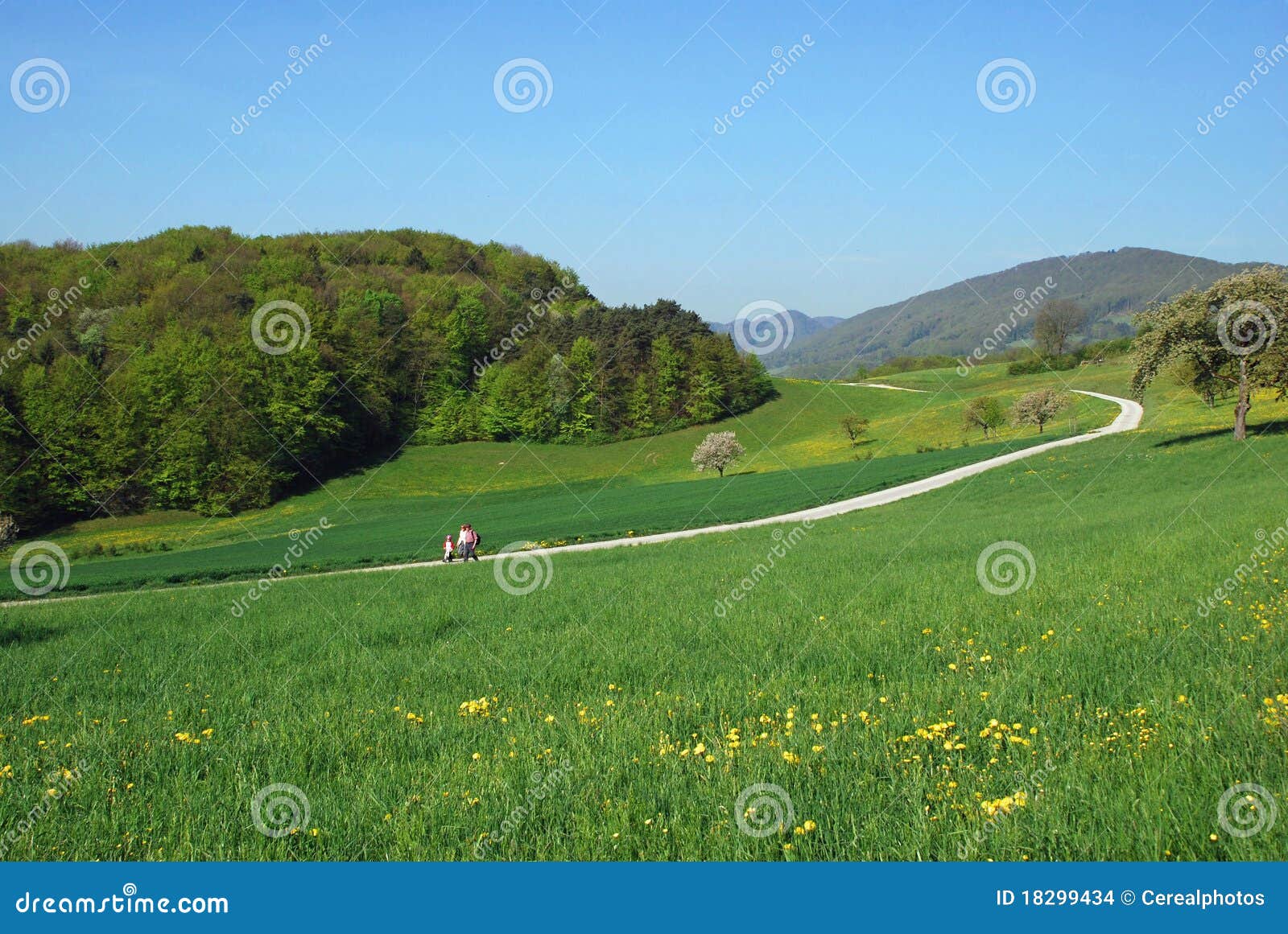 Spring walk stock photo. Image of unspoiled, jura, fields - 18299434