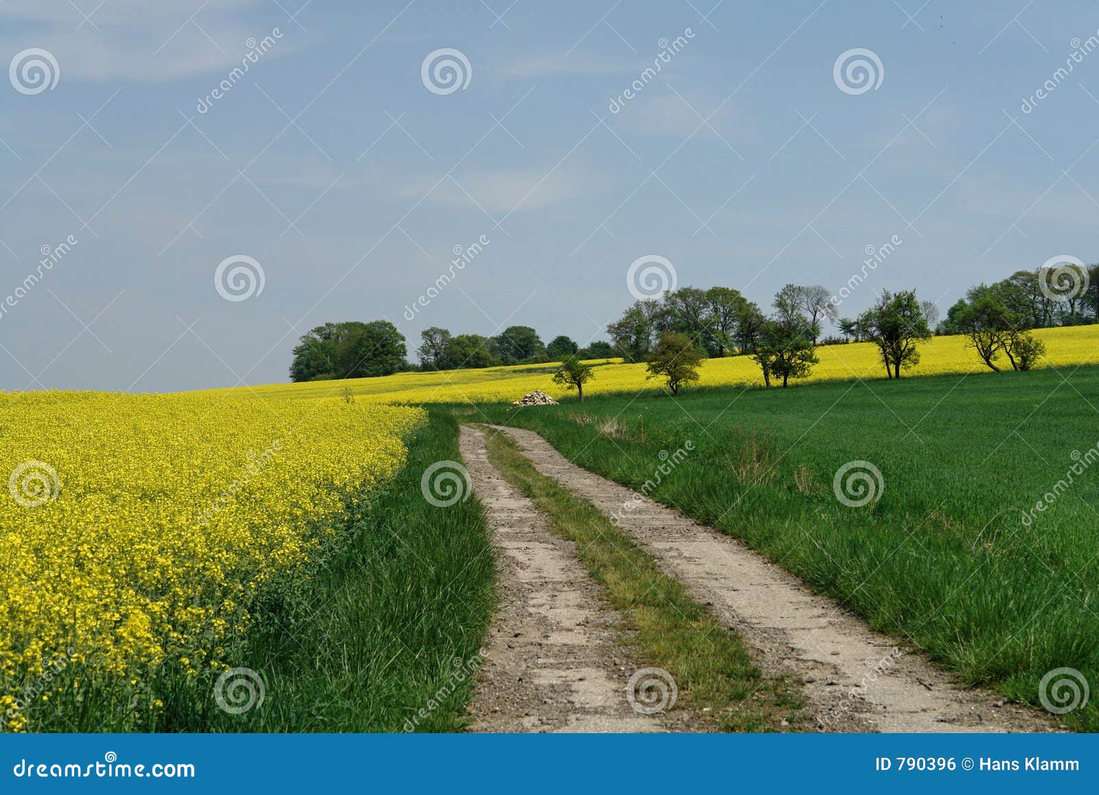 Spring Walk stock photo. Image of trees, lorraine, blue - 790396
