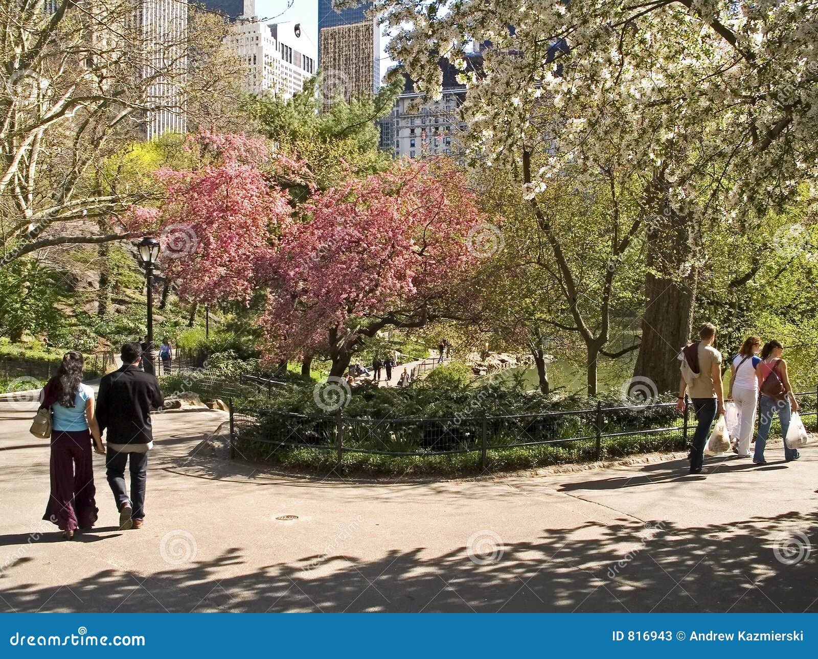 Spring Walk editorial stock photo. Image of travel, york - 816943