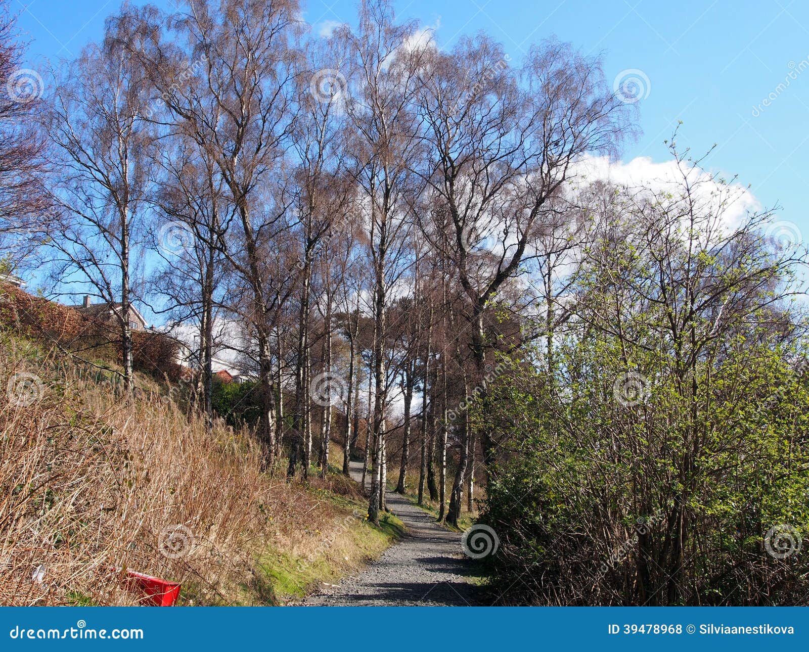 Spring walk in Alloa town stock photo. Image of dreams - 39478968