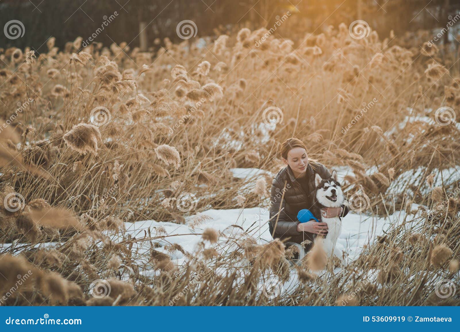 Spring Walk with a Dog 2559. Stock Image - Image of girl, outside: 53609919