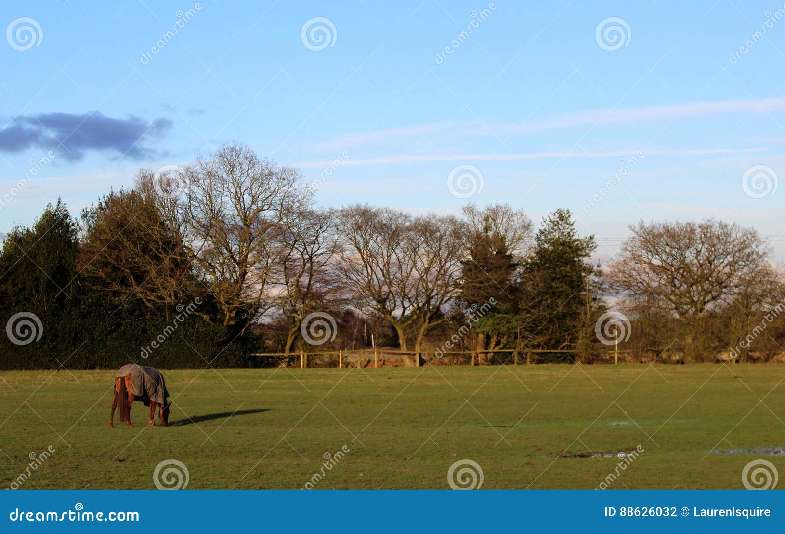 Spring Walk in Field with Horse Stock Photo - Image of skies, ranch ...