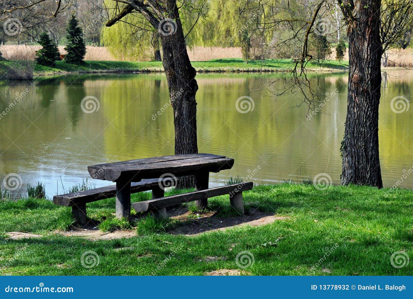 Spring Walk at the Lake stock photo. Image of bench, water - 13778932