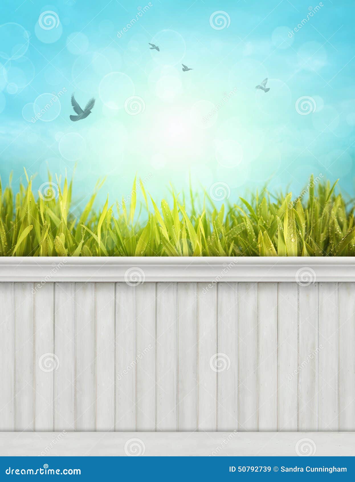 Spring Wall Background/backdrop Stock Image - Image of wallpaper ...