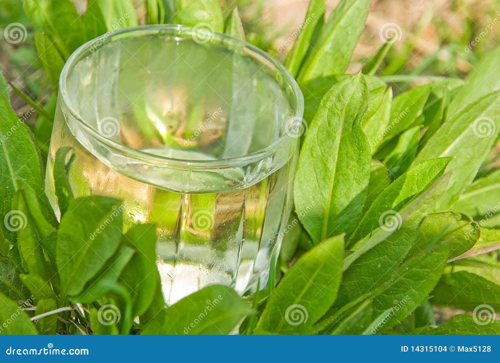 Spring water stock photo. Image of natural, fresh, spring - 14315104