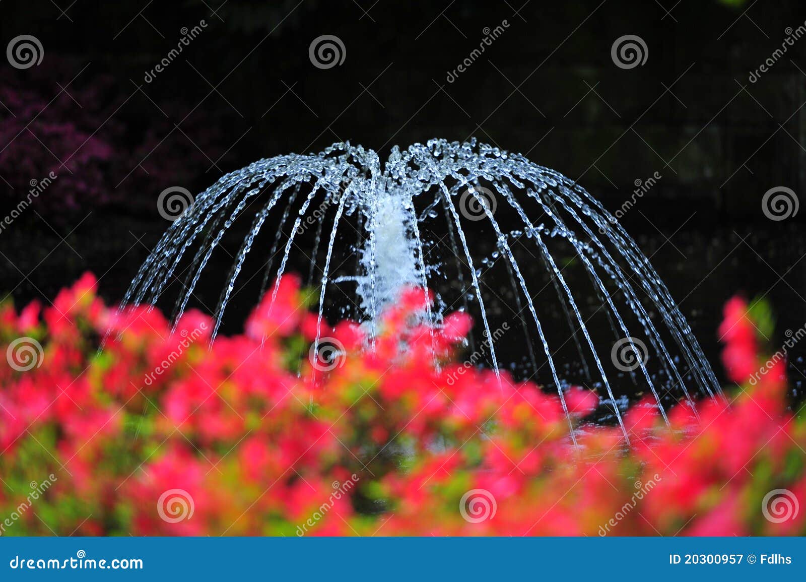 Spring water stock image. Image of amsterdam, spring - 20300957