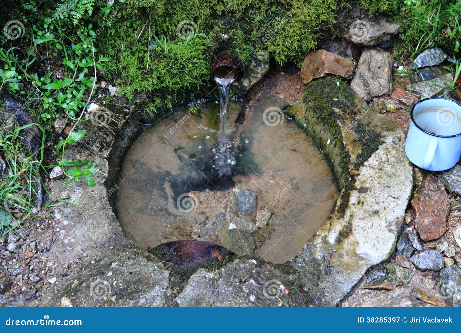 Spring of water stock image. Image of green, forest, environment - 38285397