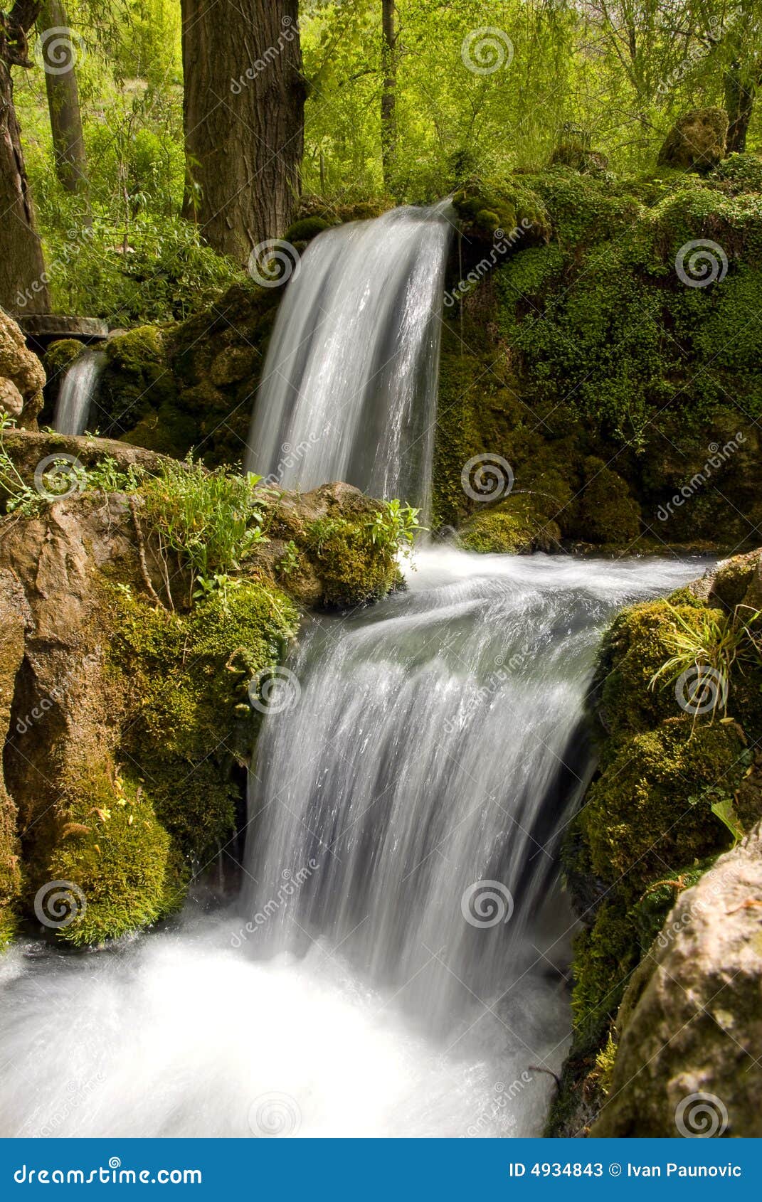 Spring water stock image. Image of moss, forestry, plants - 4934843