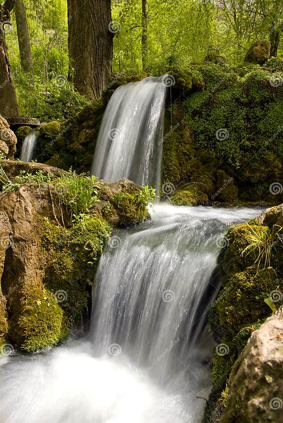 Spring water stock image. Image of moss, forestry, plants - 4934843