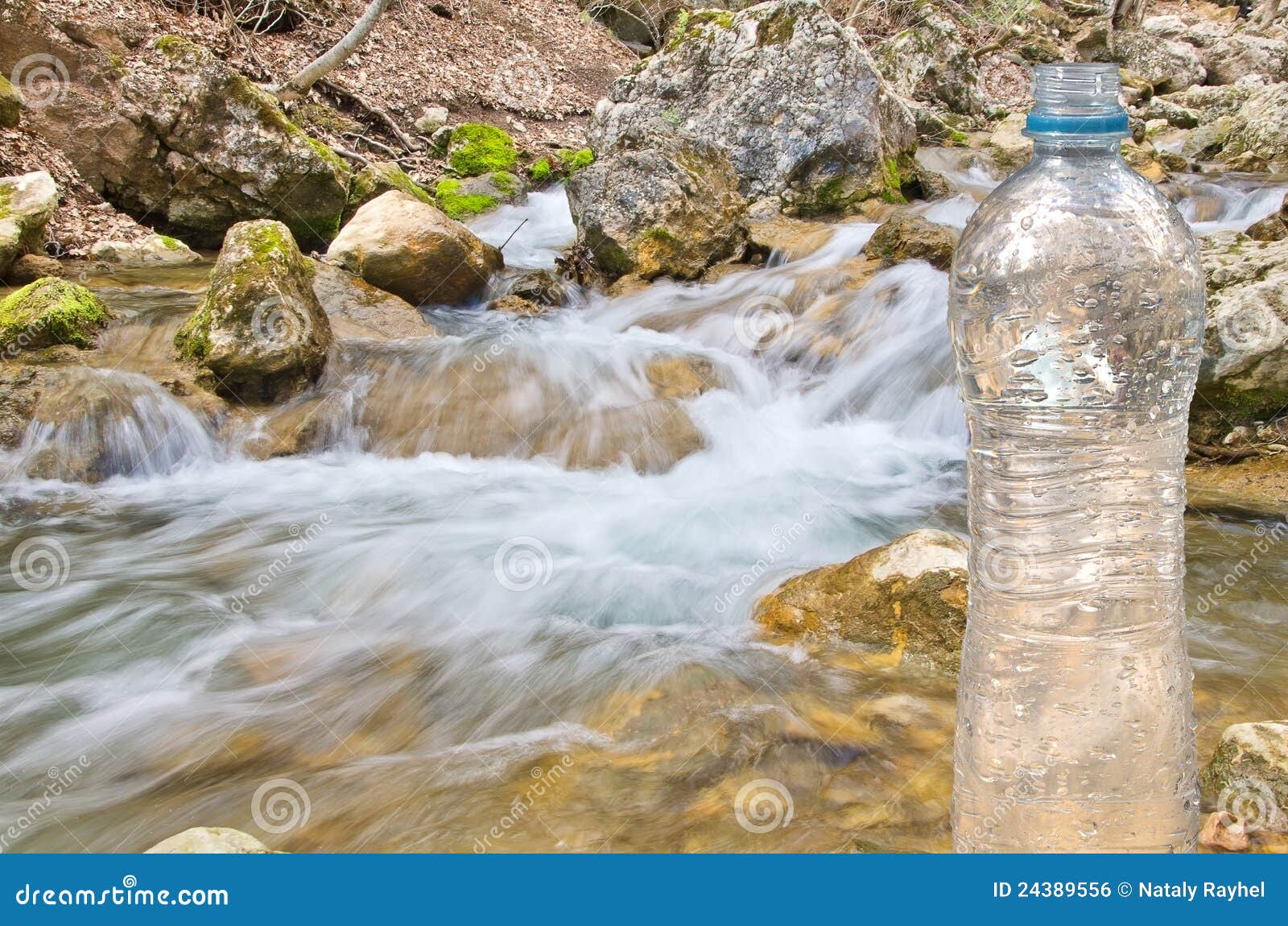 Spring water and bottle stock photo. Image of freshness - 24389556