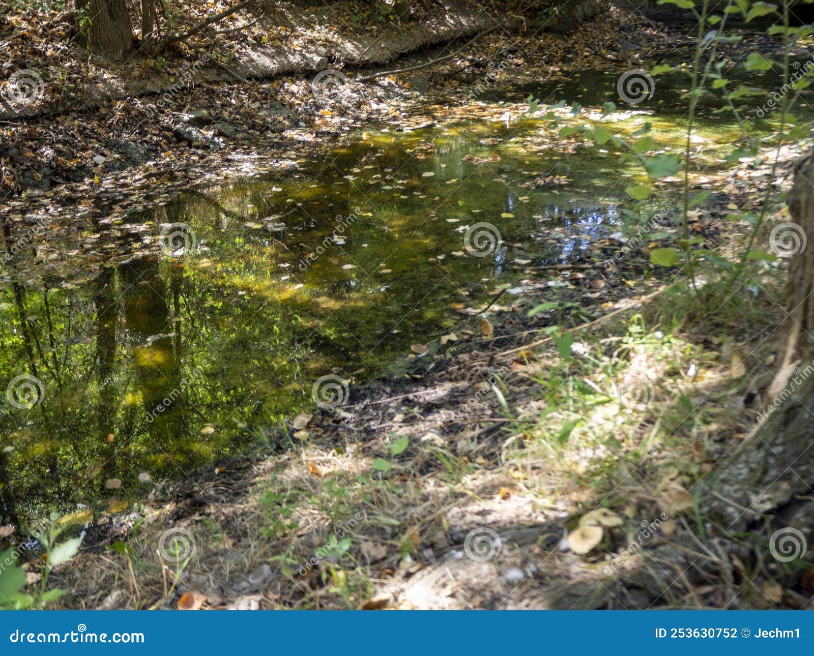 Spring Water Contaminated by Chemicals. Pollution Concept Stock Photo ...
